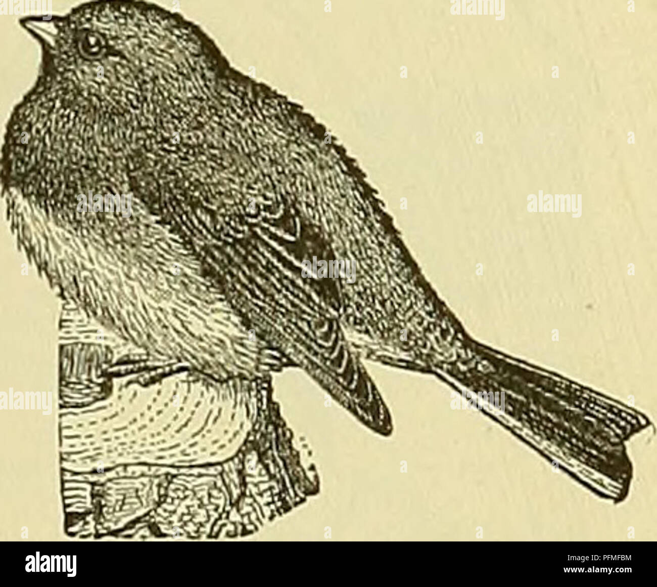 . Cyclopedia of farm animals. Domestic animals; Animal products. Fig ...