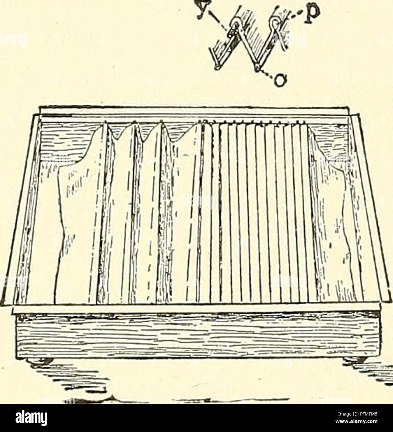 Bottom side view of flowers hi-res stock photography and images - Alamy