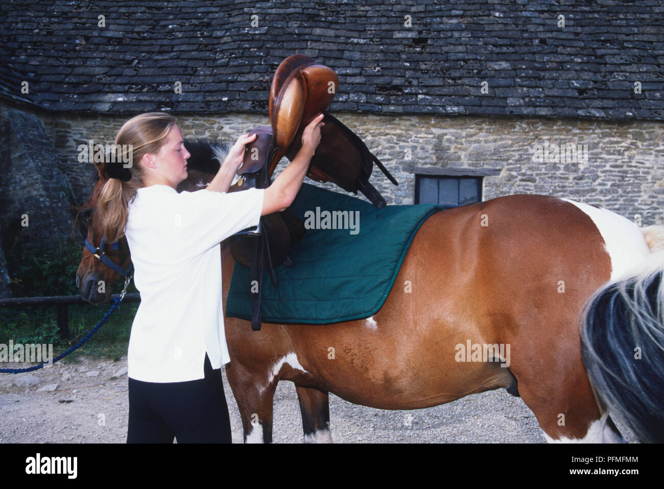 Girl with blonde ponytail putting saddle on pony (Equus caballus Stock ...
