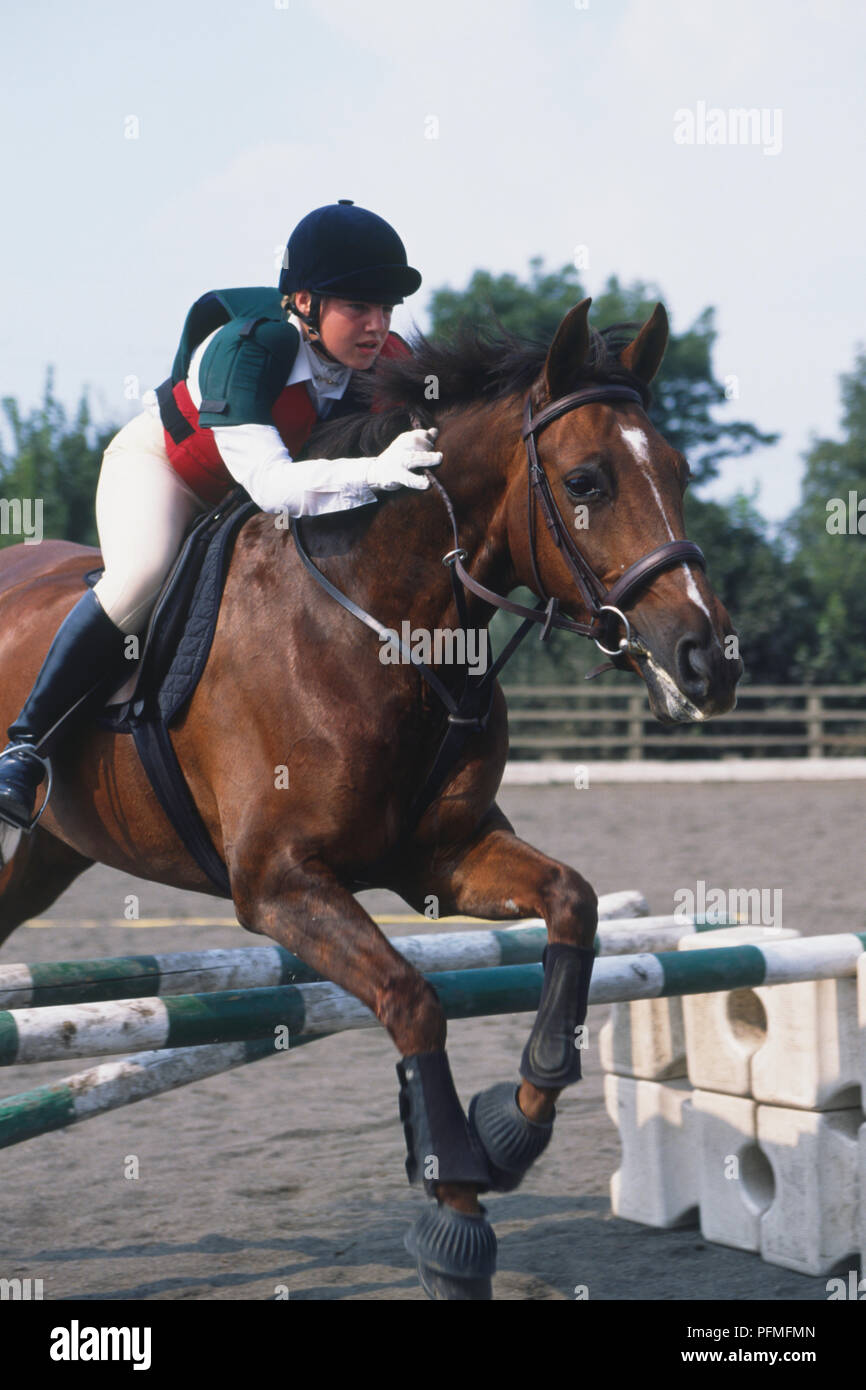 Girl on brown pony jumping Stock Photo - Alamy