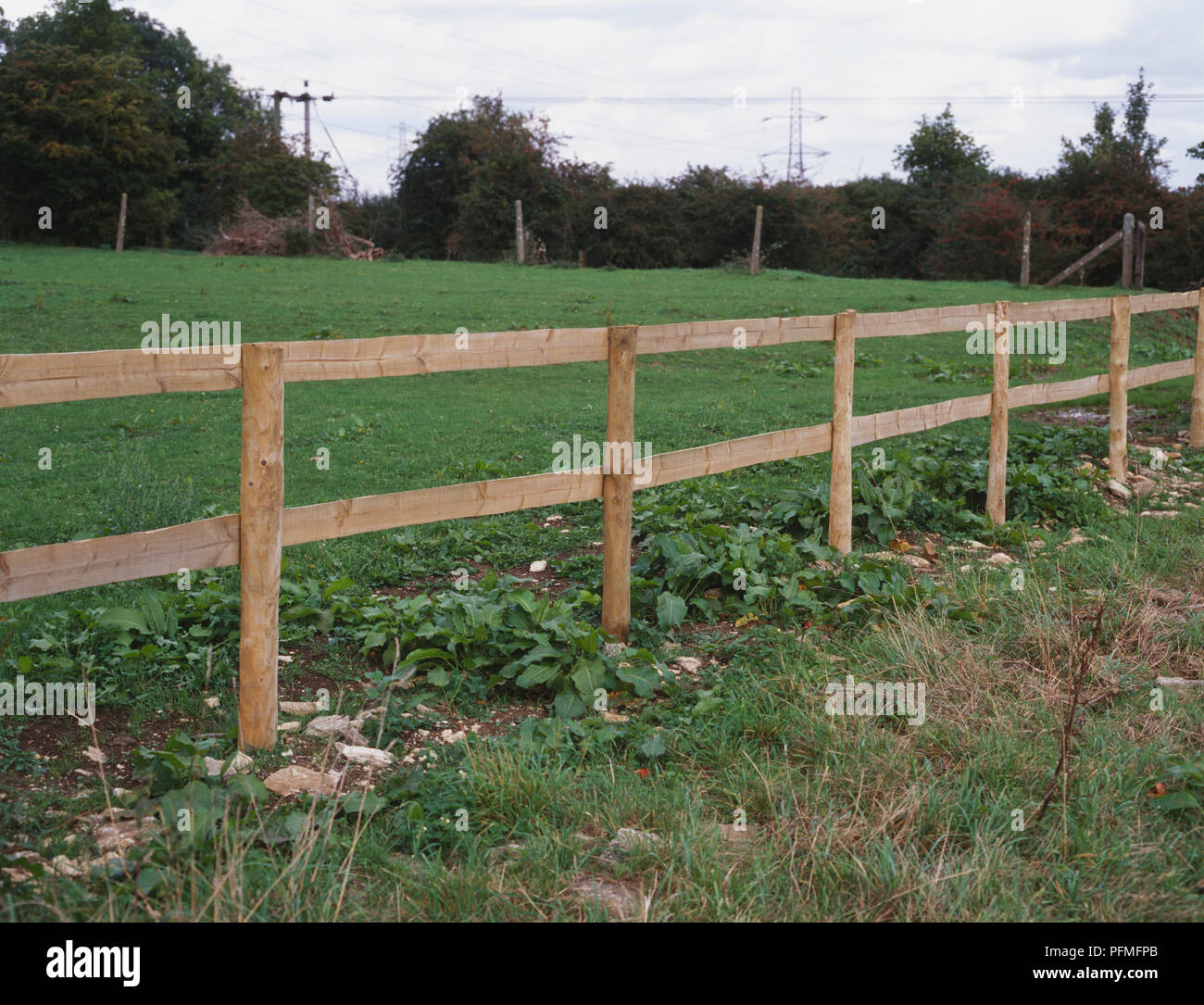 Border field hi-res stock photography and images - Alamy