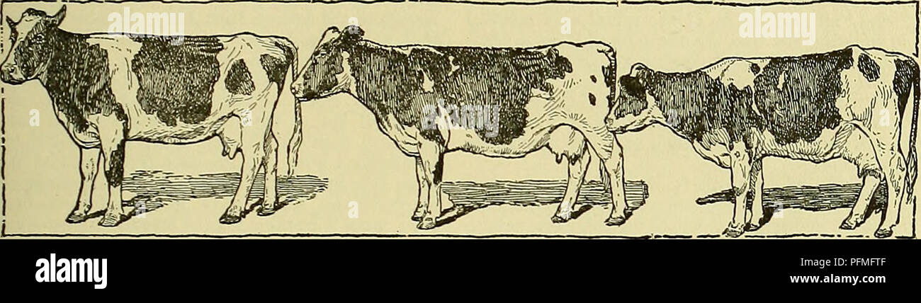 . Cyclopedia of farm animals. Domestic animals; Animal products. SOME ...