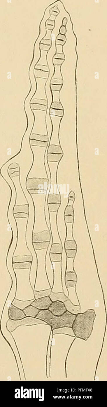 This research from the Medical-Natural Sciences Society focuses on the ...