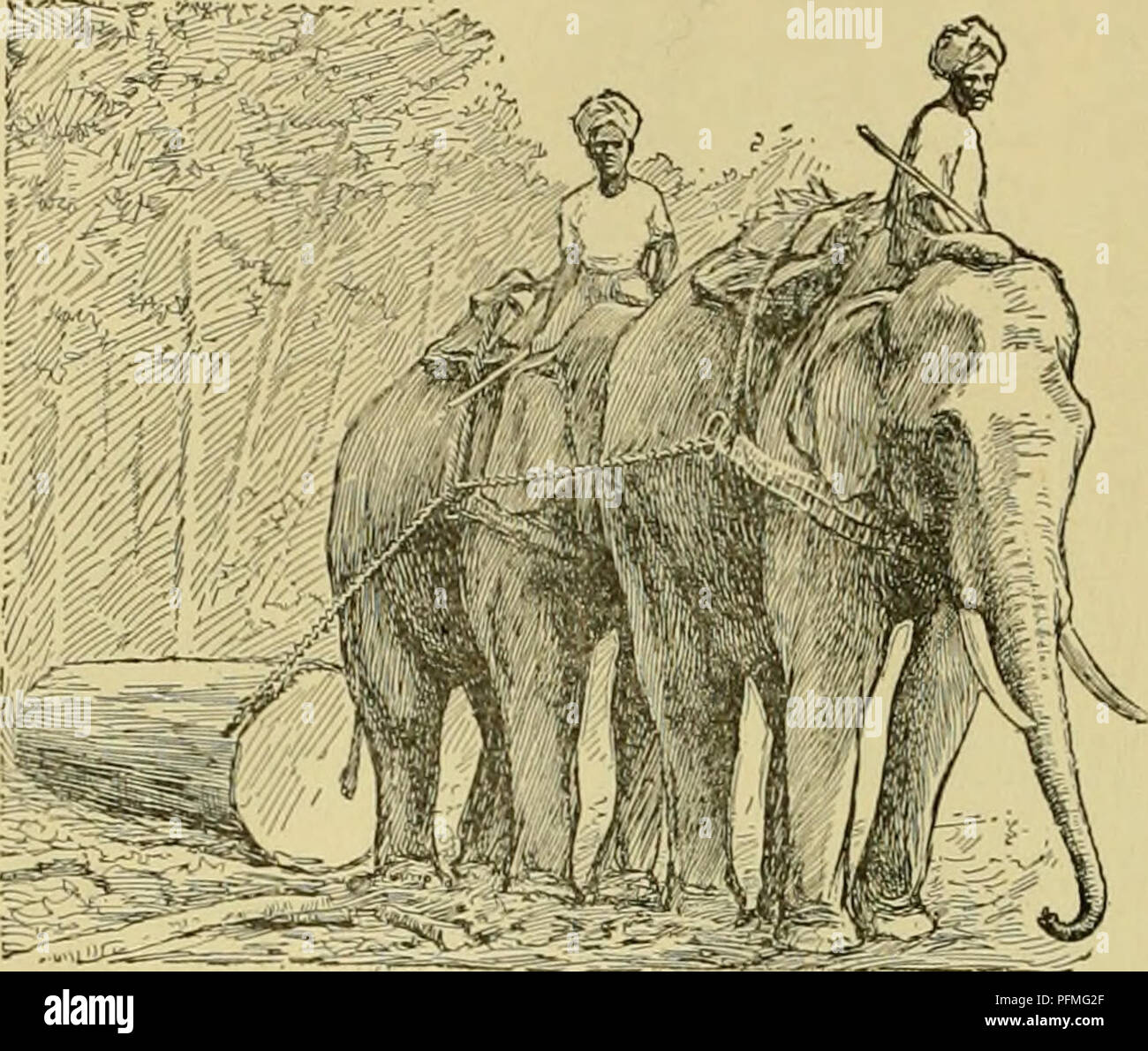 10 12 1850 hi-res stock photography and images - Alamy