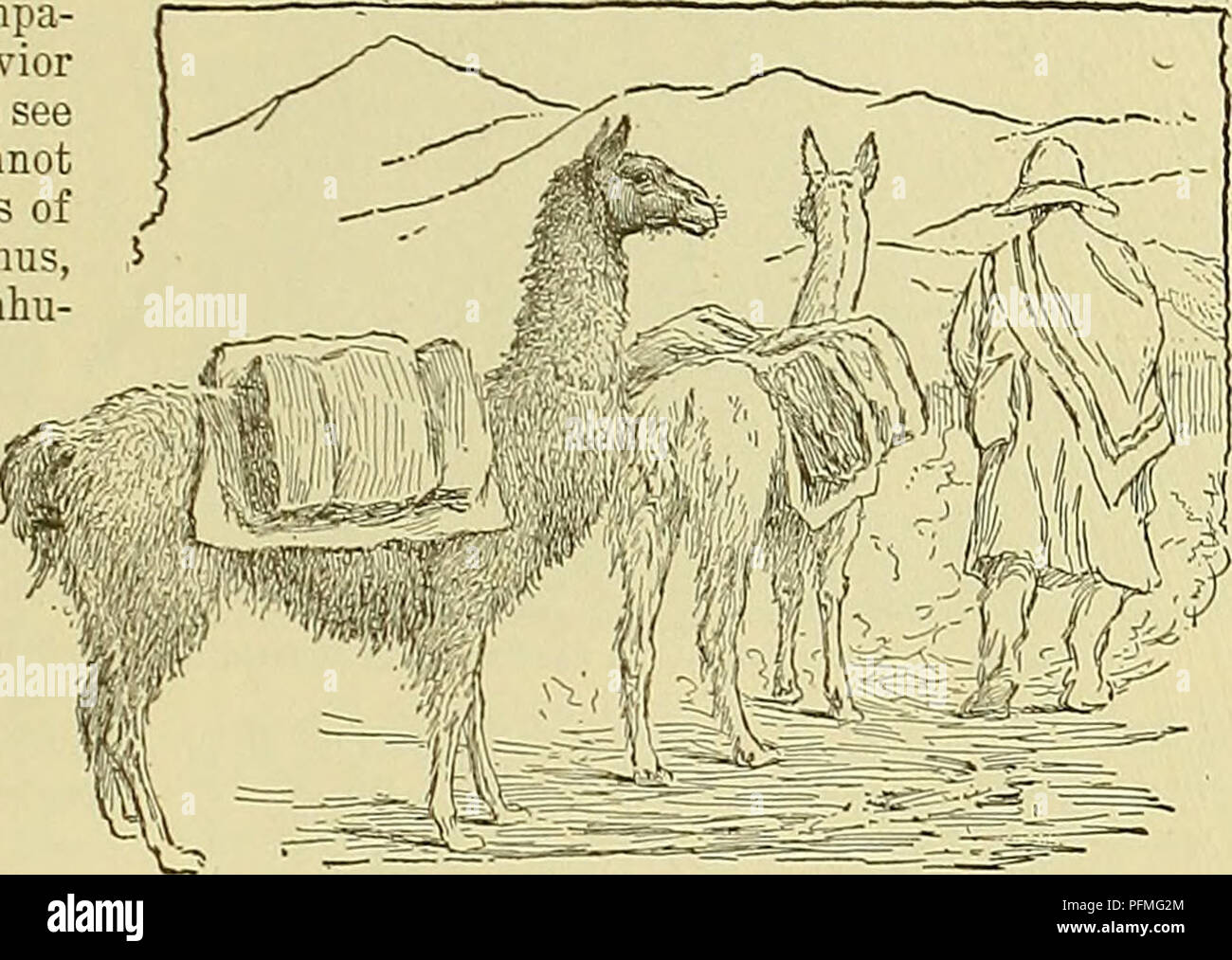 Civilizing hi-res stock photography and images - Alamy