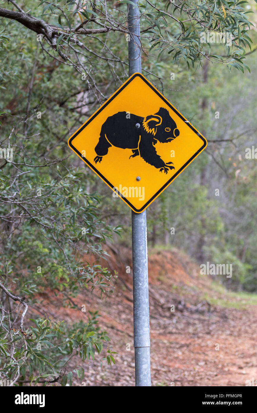 Koala bear crossing warning road sign Stock Photo - Alamy