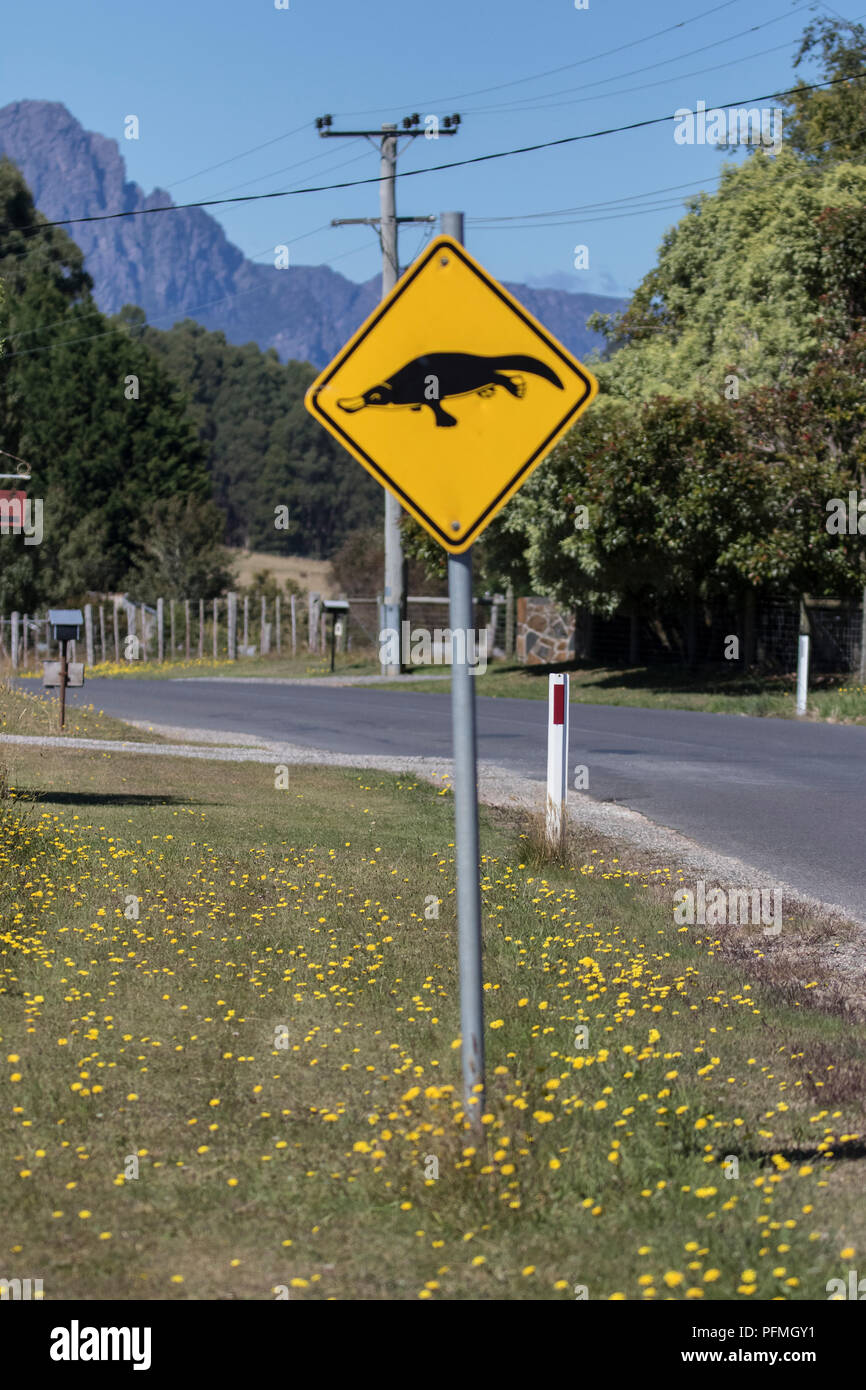 Watch out for platypus road sign in Tasmania Stock Photo - Alamy