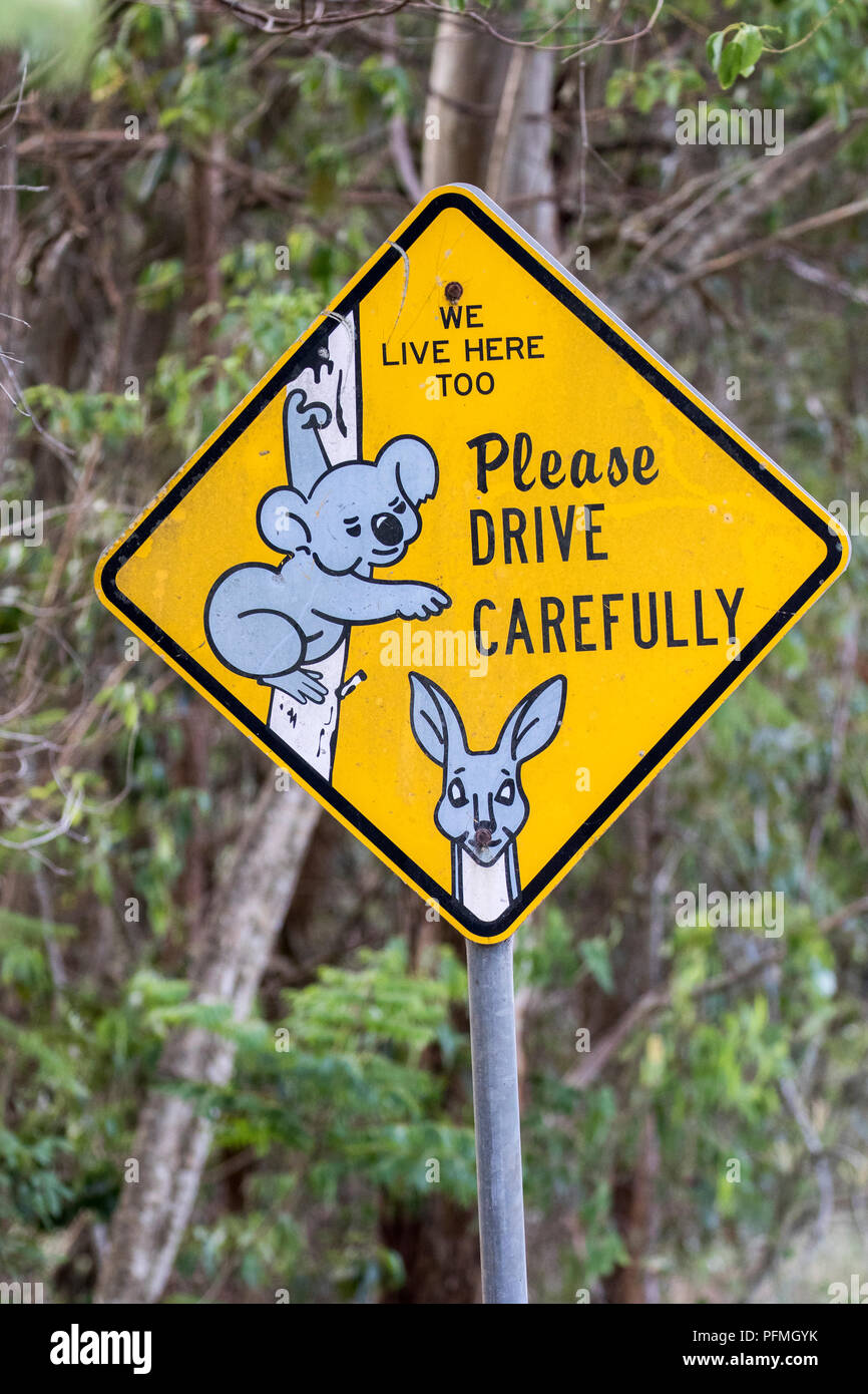 Kangaroo koala warning road sign hi-res stock photography and images ...