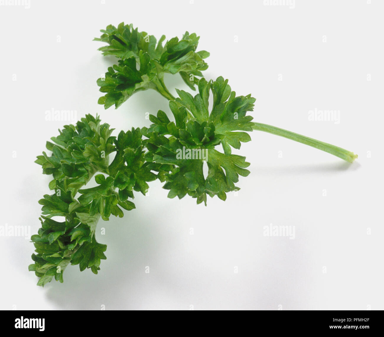 Persele hi-res stock photography and images - Alamy