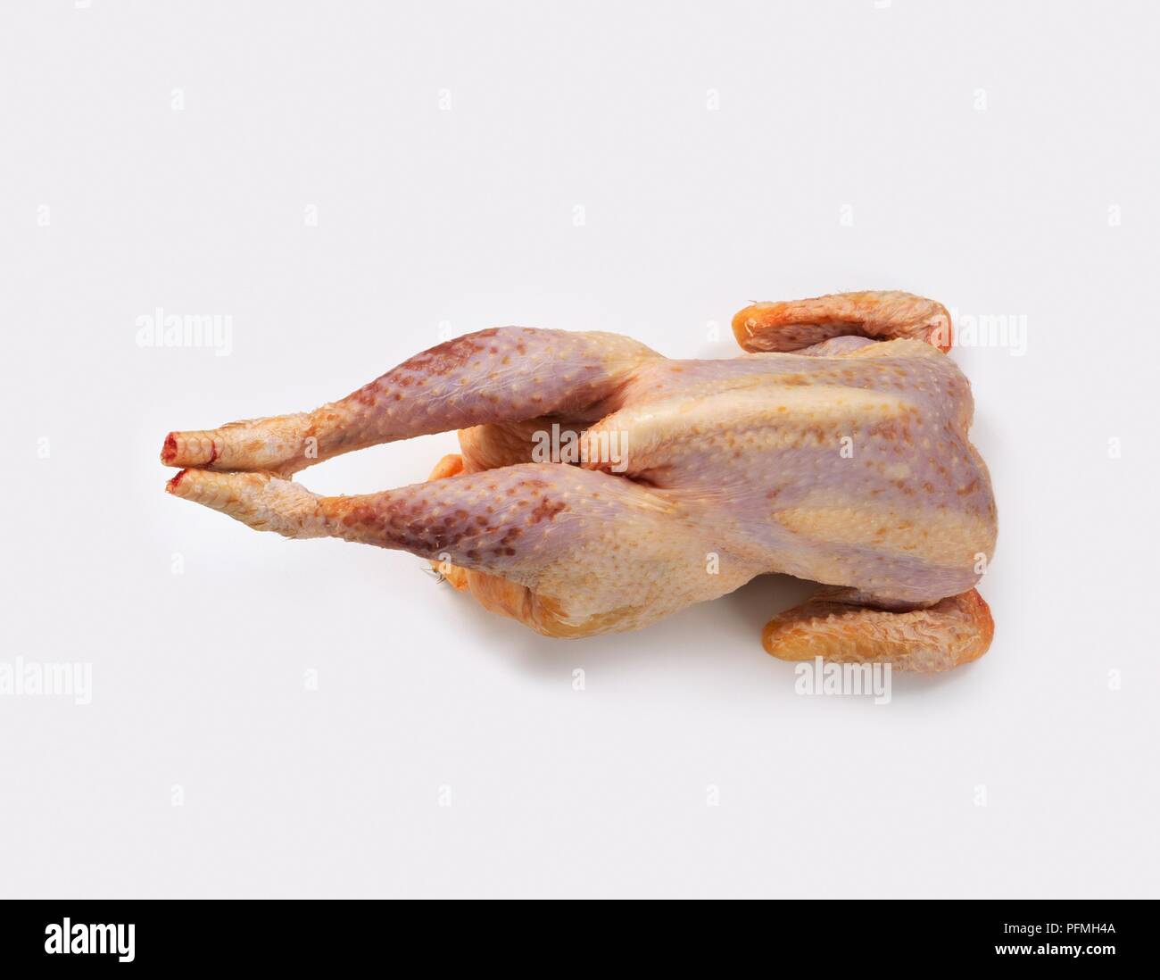 Corn-fed chicken, close-up Stock Photo - Alamy