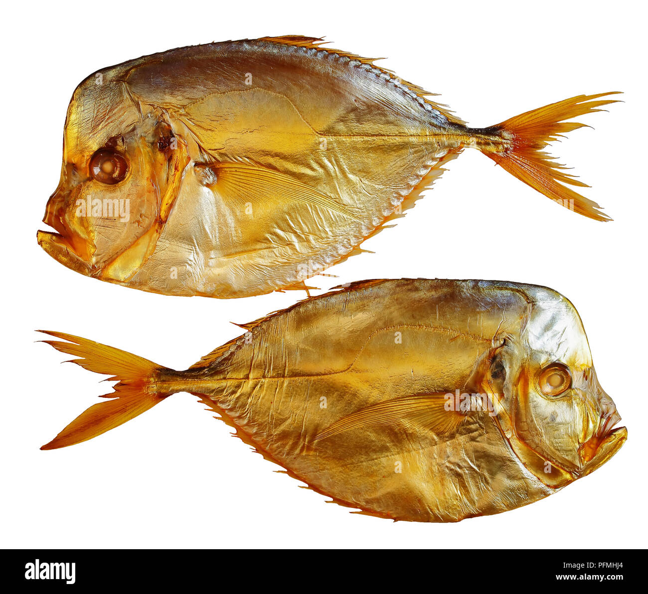 Moon fish hi-res stock photography and images - Alamy