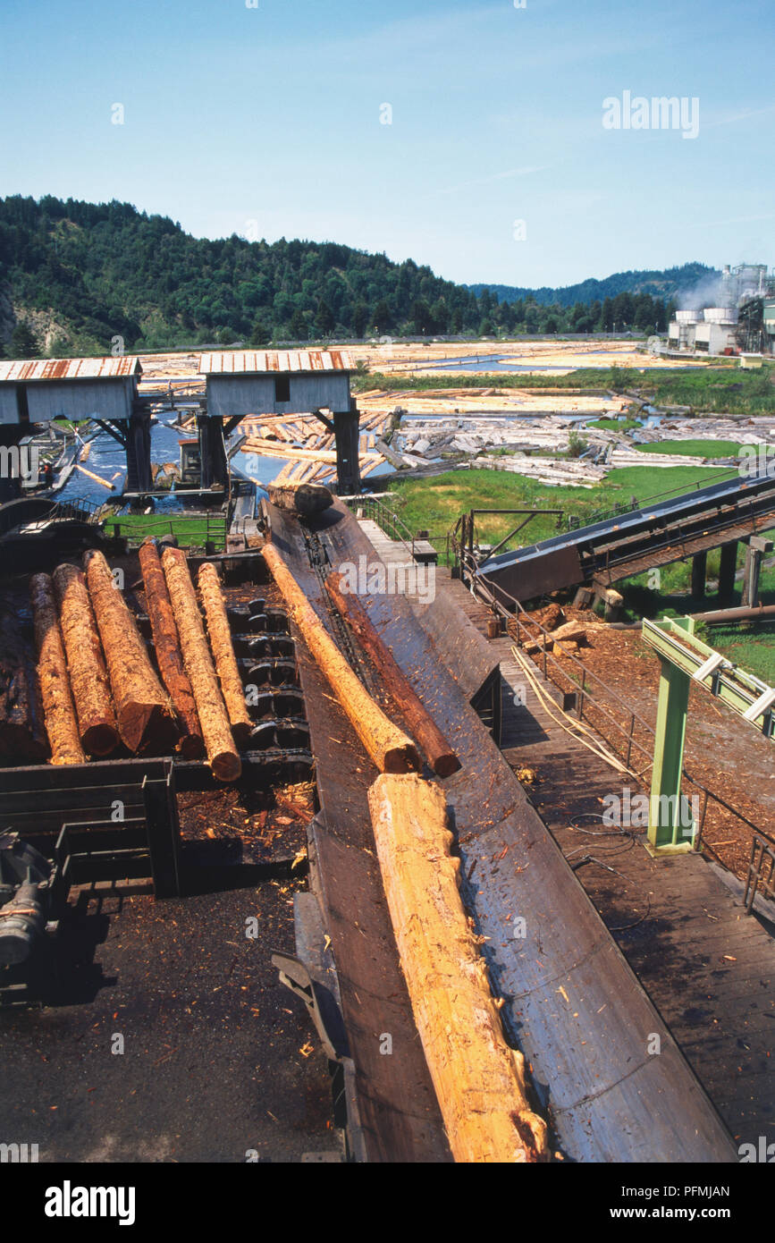 USA, California, stacked redwood lumber being moved onto conveyor belt ...