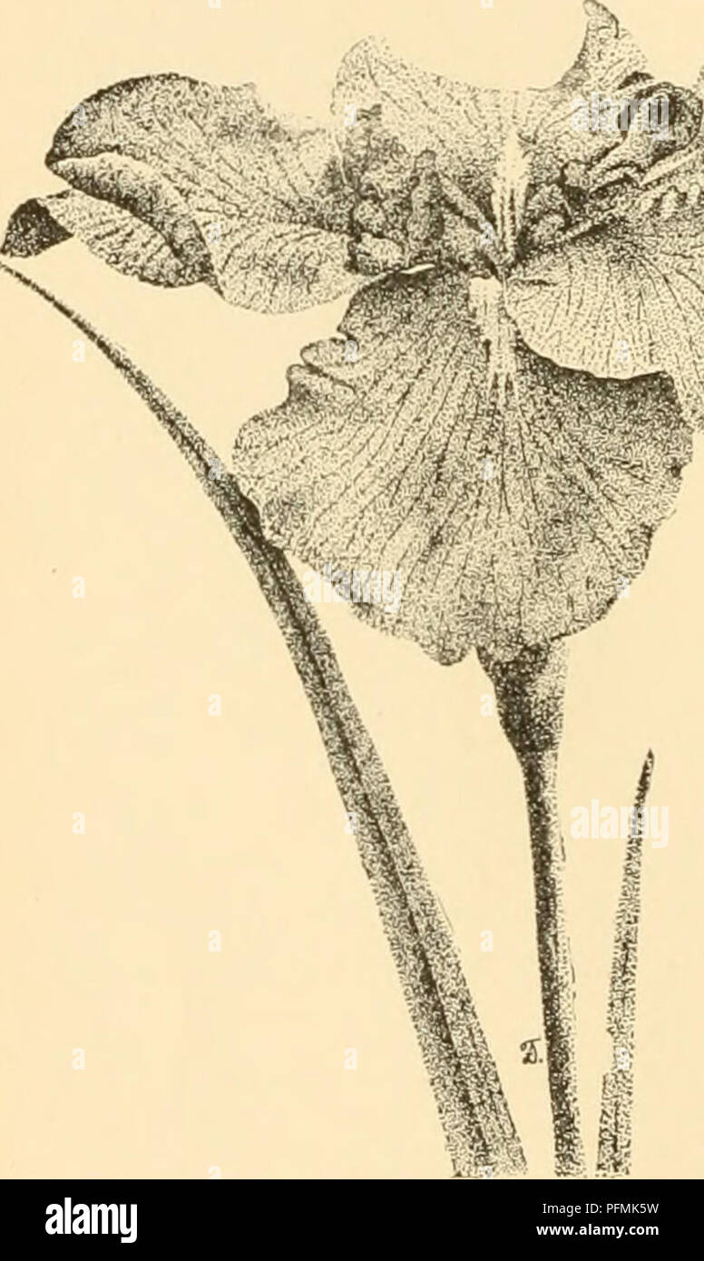 Straight keel hi-res stock photography and images - Alamy