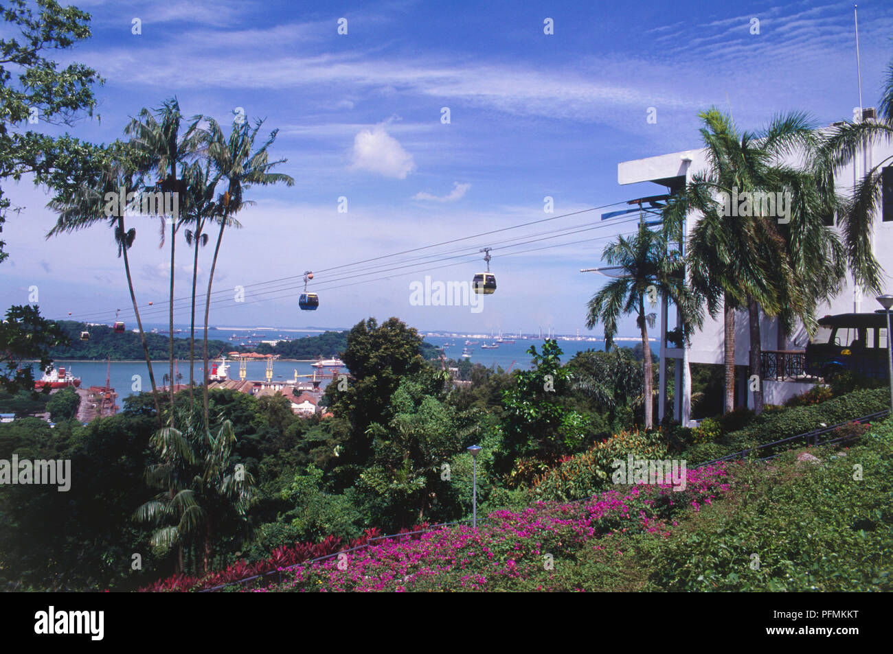 Singapore, Mount Faber, cable cars travelling above treetops, flowering ...