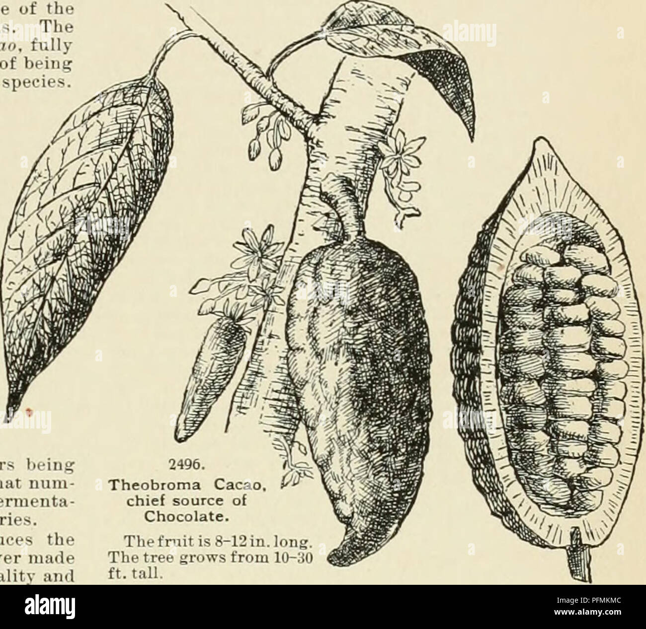 This comprehensive horticultural guide provides detailed suggestions ...