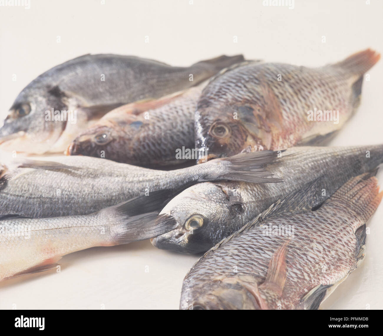 Close-up of fresh whole fishes Stock Photo - Alamy