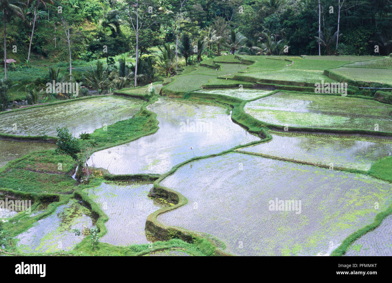 Packed earth hi-res stock photography and images - Alamy