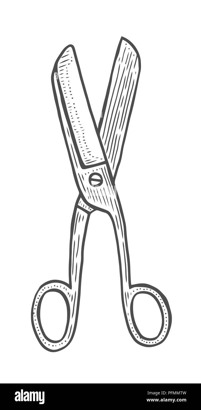Hand drawn vintage scissors vector illustration. Isolated on white ...