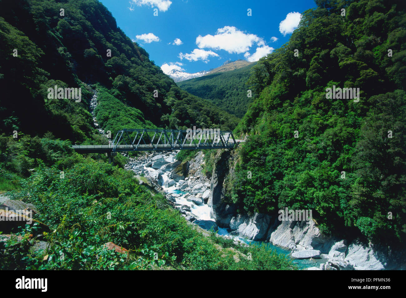 At the Gates of Haast bridge, the Haast River roars down a steep-sided ...