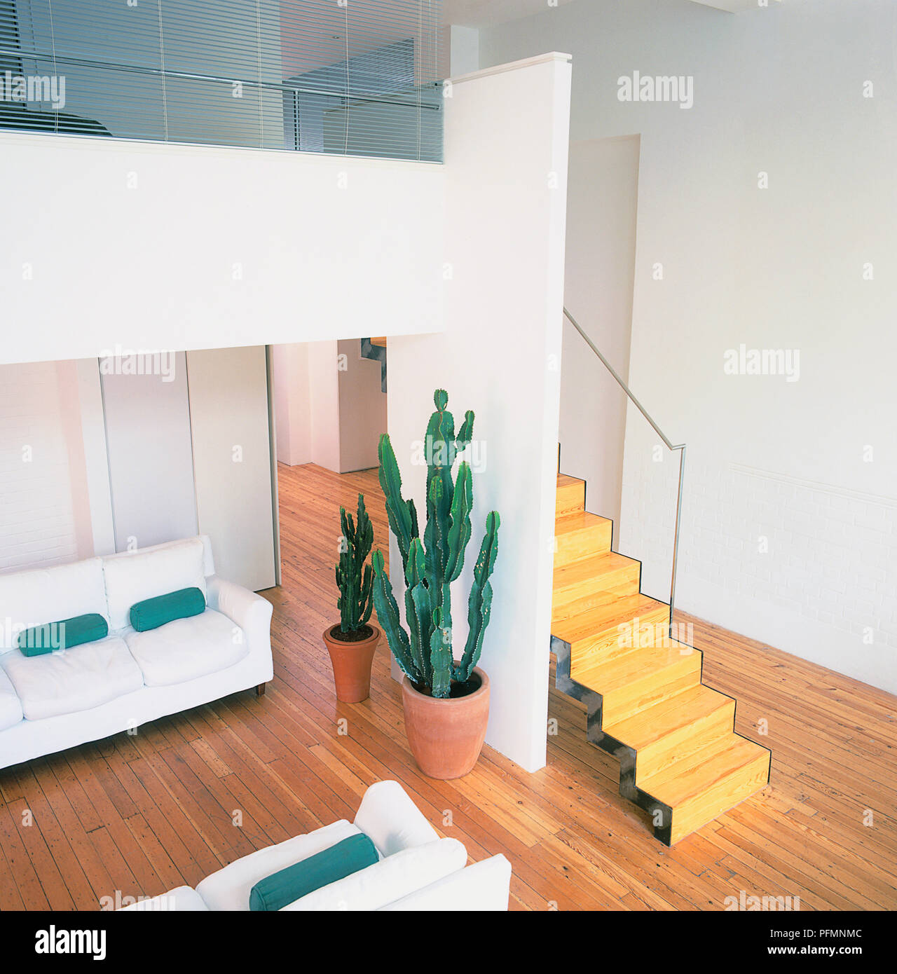 Modern split level flat containing Euphorbia in plant pot Stock Photo ...