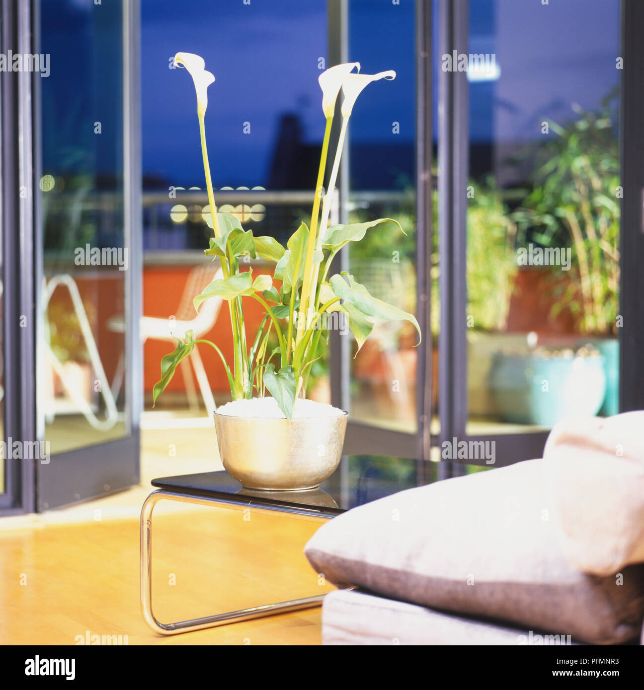 Glass lilies hi-res stock photography and images - Alamy