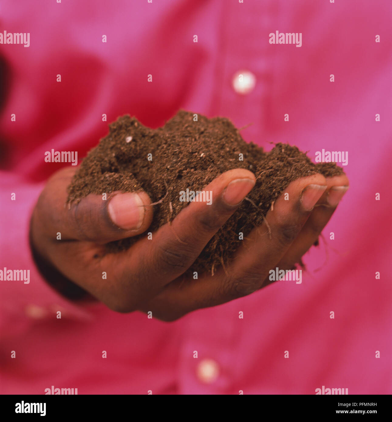 Handful of potting compost held up in palm, close up Stock Photo - Alamy