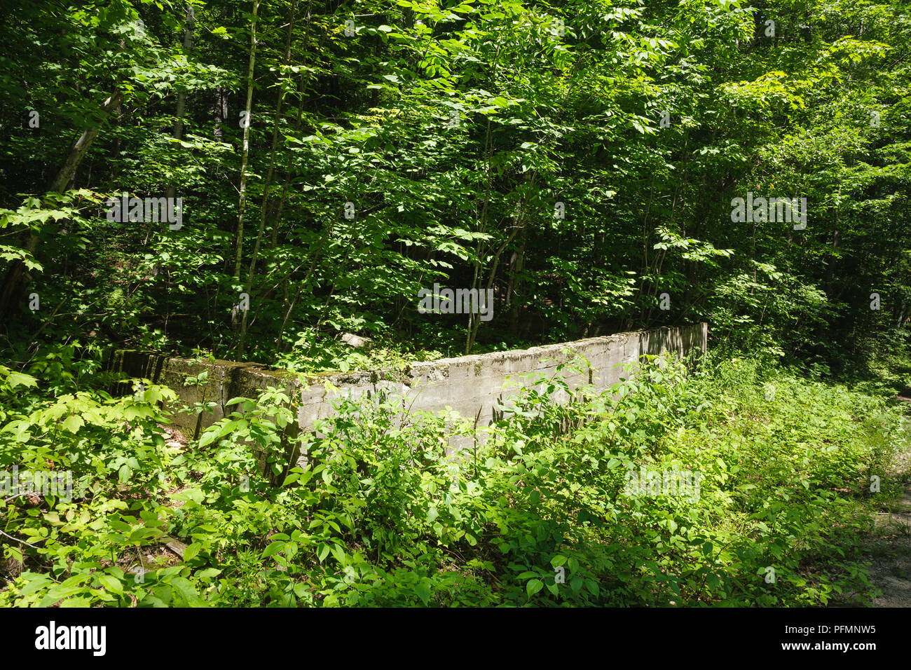 The site of the schoolhouse at the abandoned village of Livermore. This ...