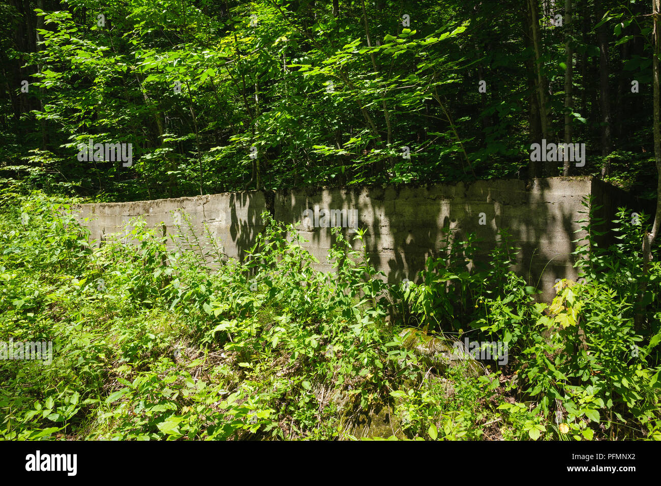 The site of the schoolhouse at the abandoned village of Livermore. This ...
