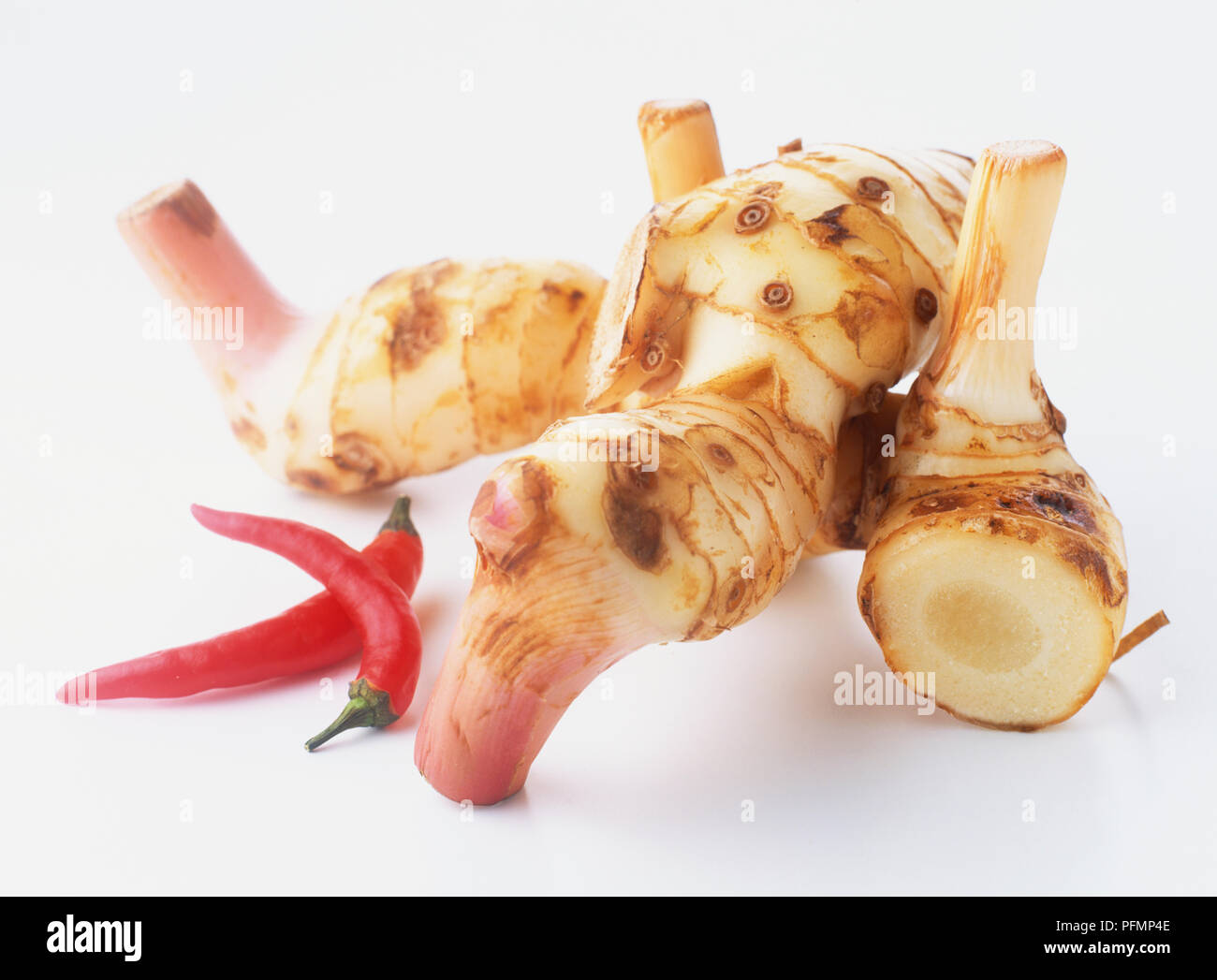 Alpinia Officinarum High Resolution Stock Photography and Images - Alamy