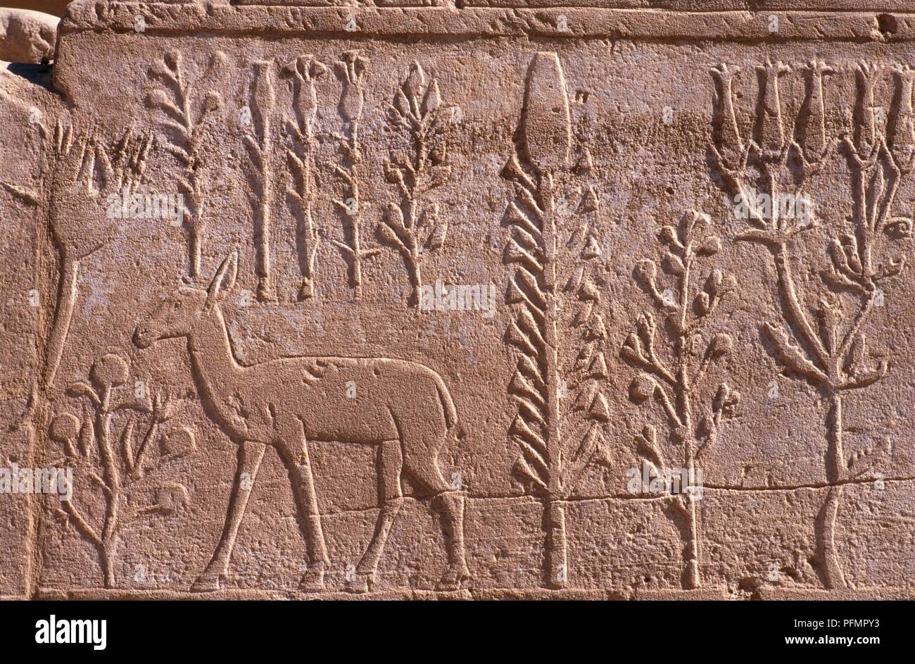 Egypt, Karnak, Temple of Amun, flora and fauna on relief Stock Photo ...