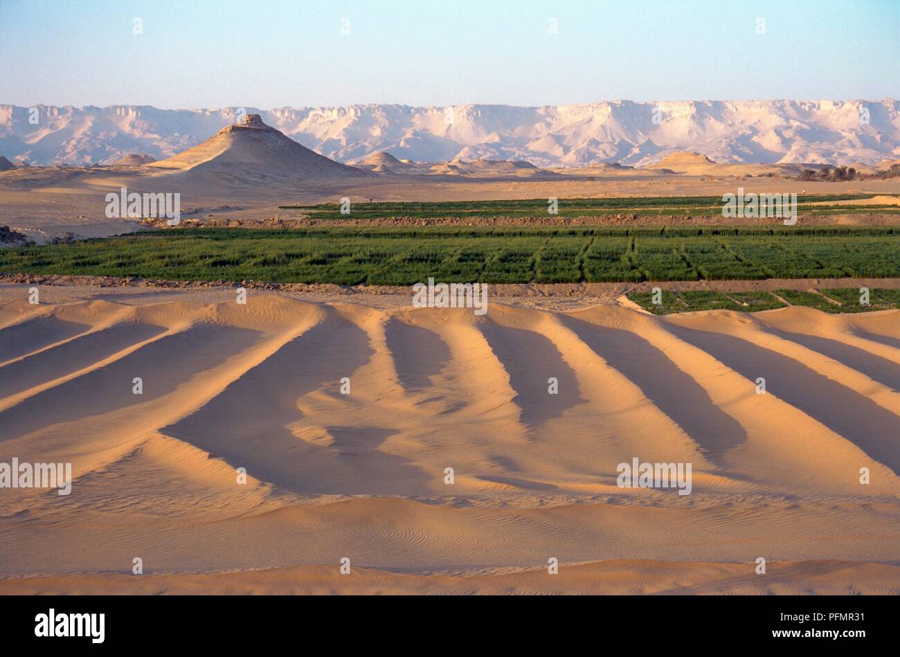 Qasr al dakhla hi-res stock photography and images - Alamy