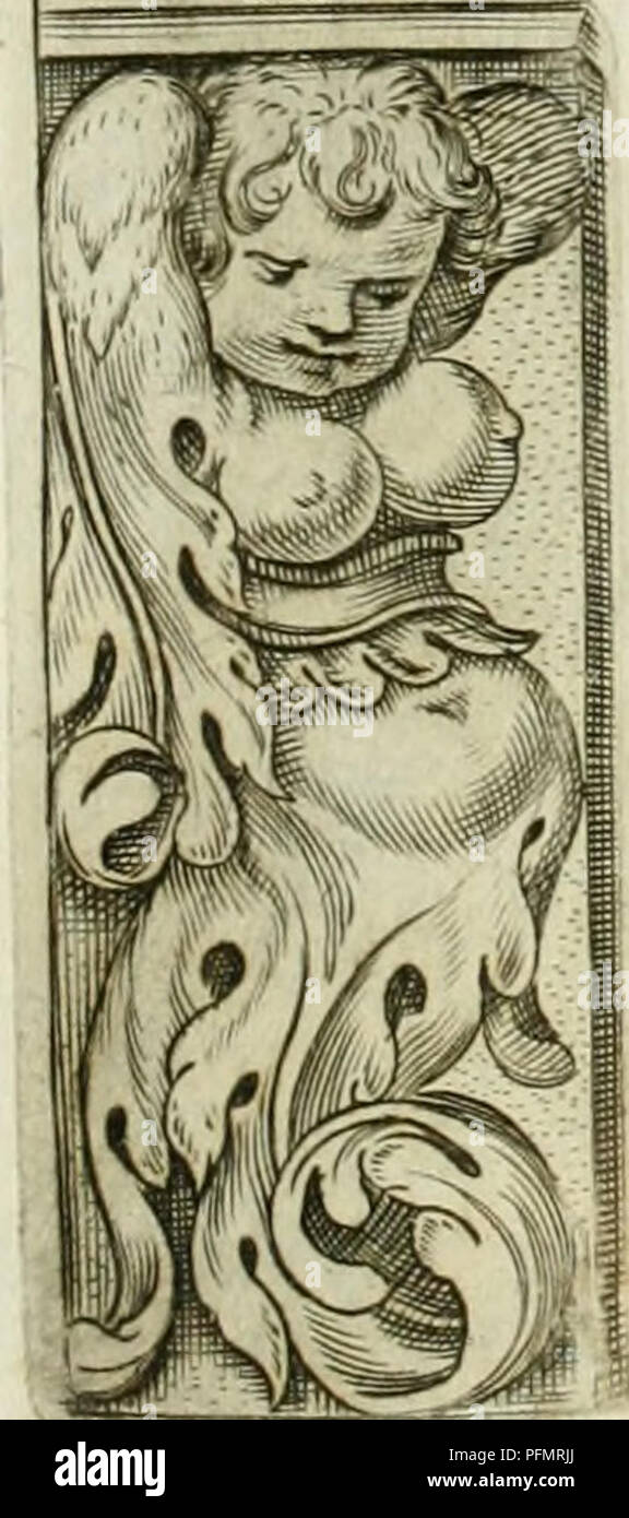 Aaua hi-res stock photography and images - Alamy