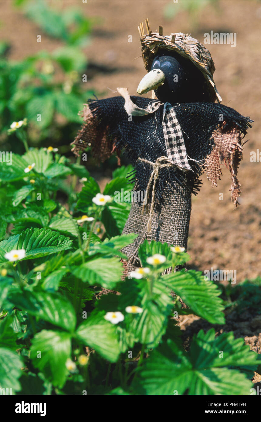 Protecting clothed hi-res stock photography and images - Alamy