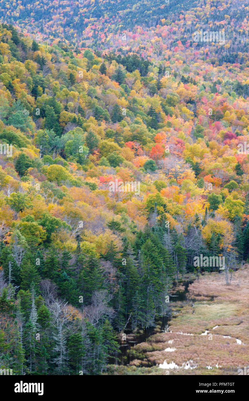 Autumn foliage from the top of Elephants Head in Carroll, New Hampshire ...