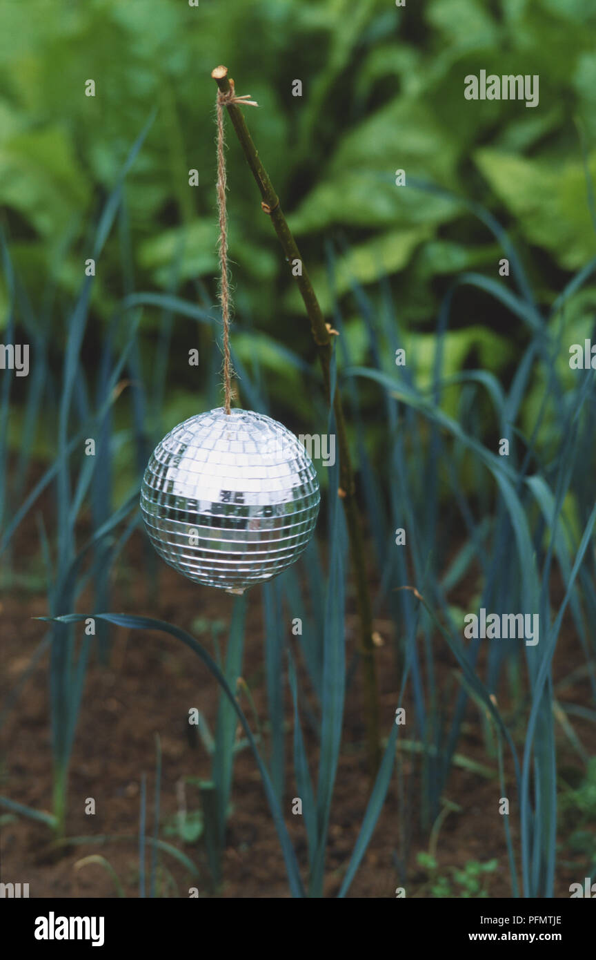 Scarers hi-res stock photography and images - Alamy