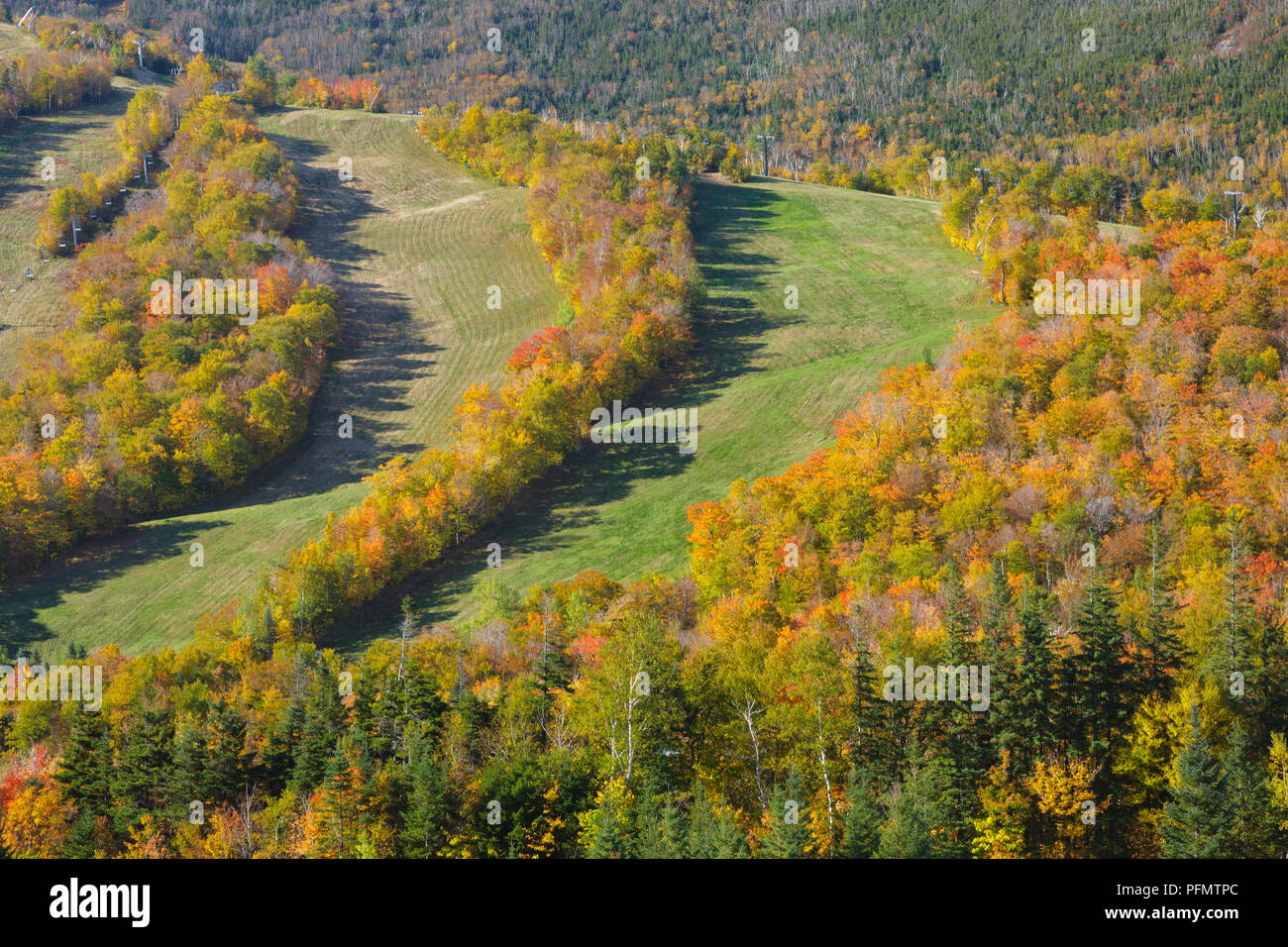 Autumn foliage on Cannon Mountain Ski area from Eagle Cliff in ...