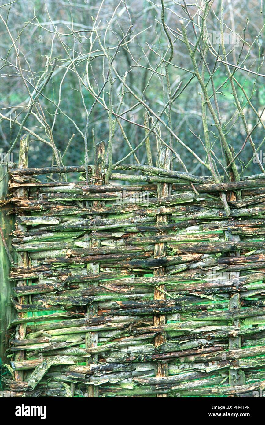 Woven screen hi-res stock photography and images - Alamy