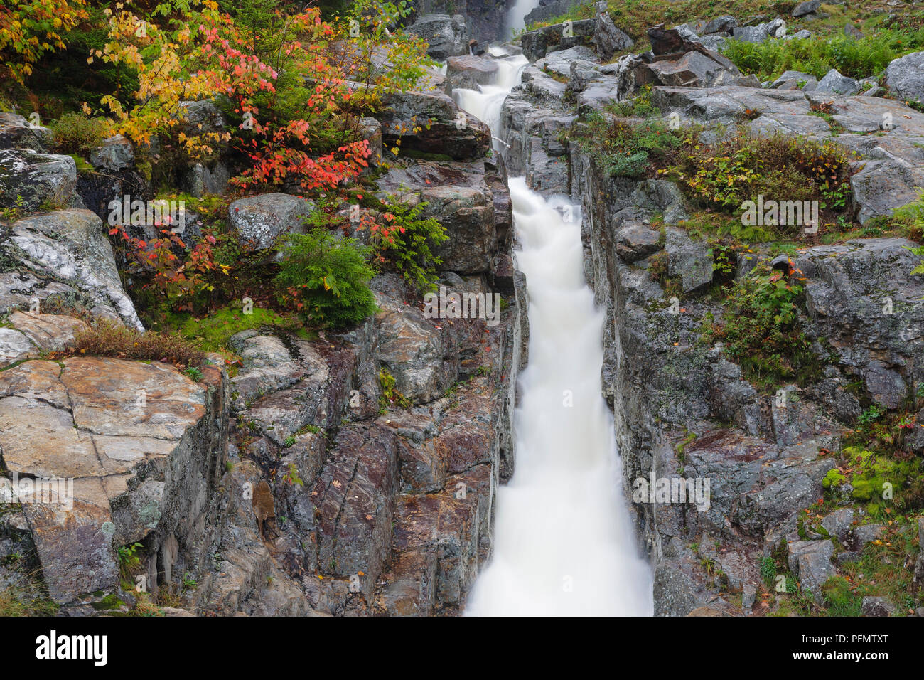 Silver Cascade in Hart’s Location, New Hampshire on a rainy autumn day ...