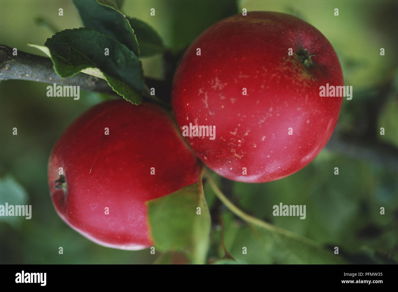 John standish hi-res stock photography and images - Alamy