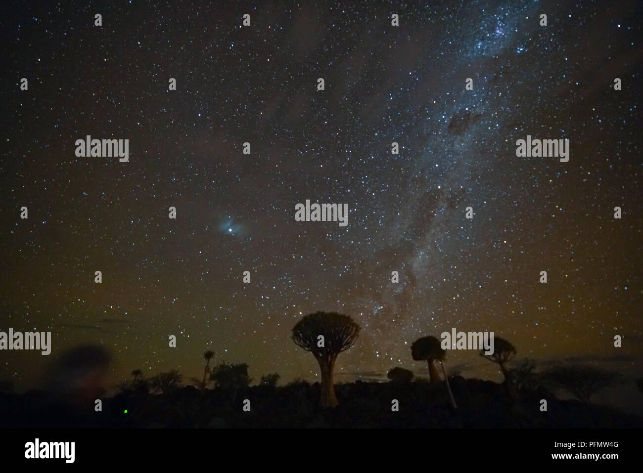 Stars and milky way in night sky at Quiver Tree Forest in Namibia Stock ...