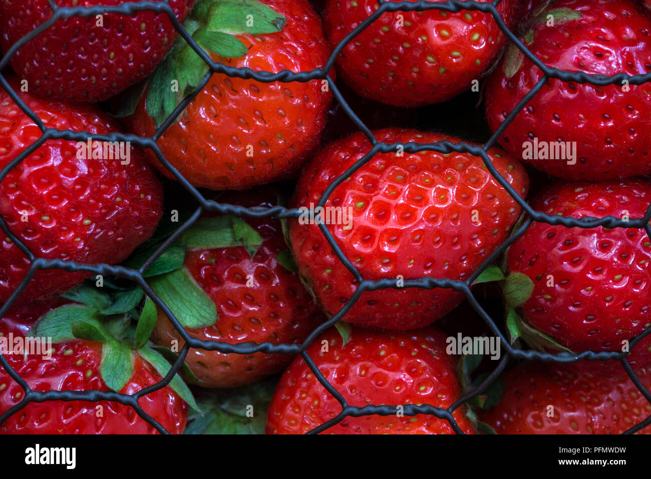 Erdbeeren hi-res stock photography and images - Alamy