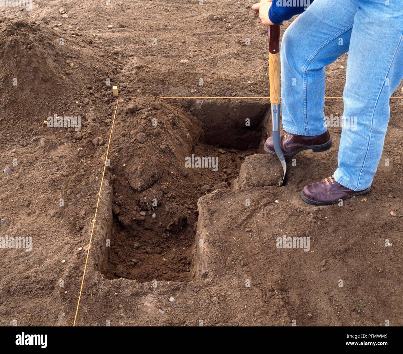 Person digging with spade in marked-out area of soil Stock Photo - Alamy