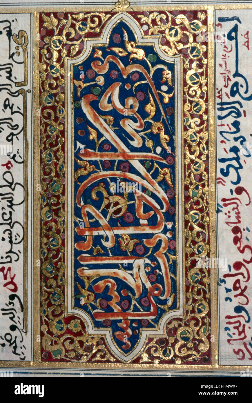 Morocco, Fes, 8th-century illuminated manuscript in Maghrebi style featuring plant motifs, close ...