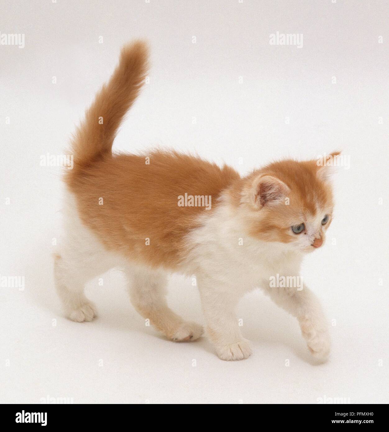 White side steps hi-res stock photography and images - Alamy