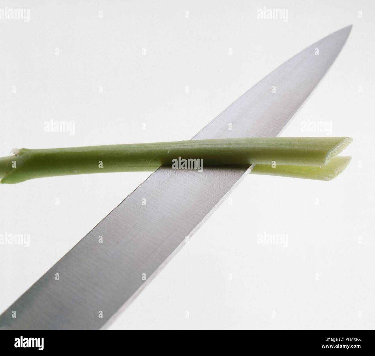 Sharp slit hi-res stock photography and images - Alamy
