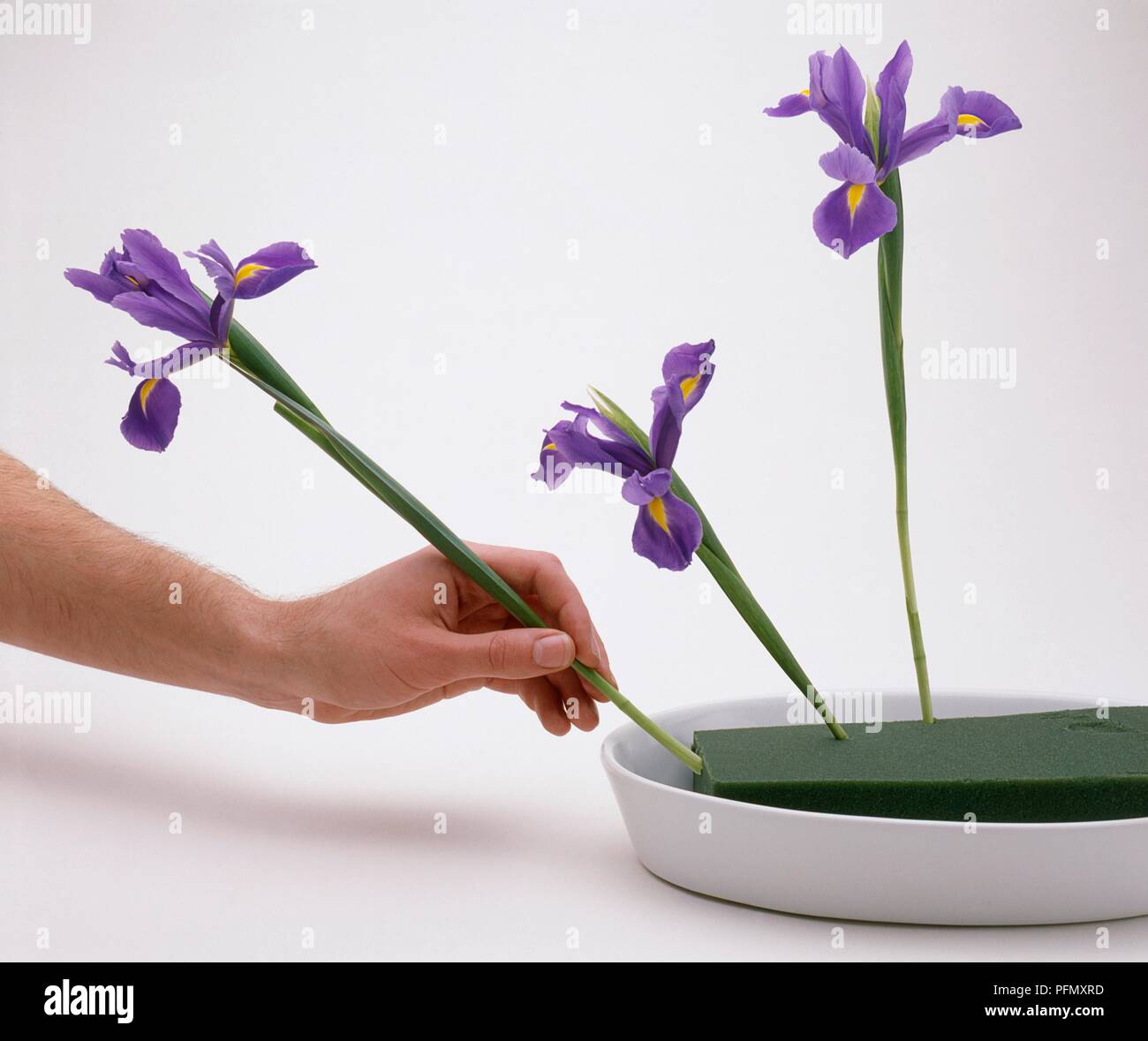 Pushing up the flowers hi-res stock photography and images - Alamy
