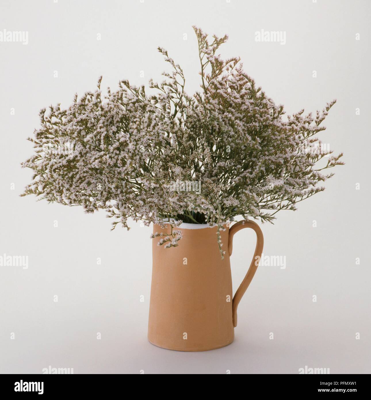 Jug flower hi-res stock photography and images - Alamy