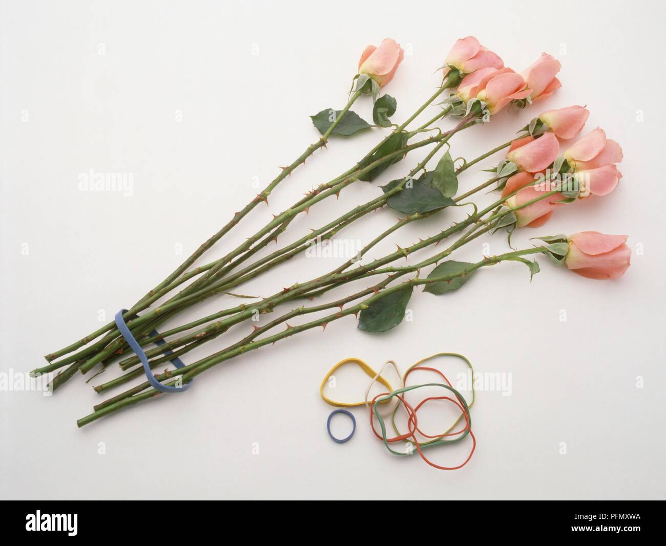 Rubber rose hi-res stock photography and images - Alamy