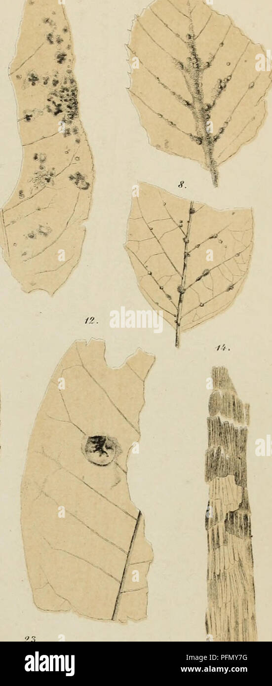 Hz 1 hi-res stock photography and images - Alamy