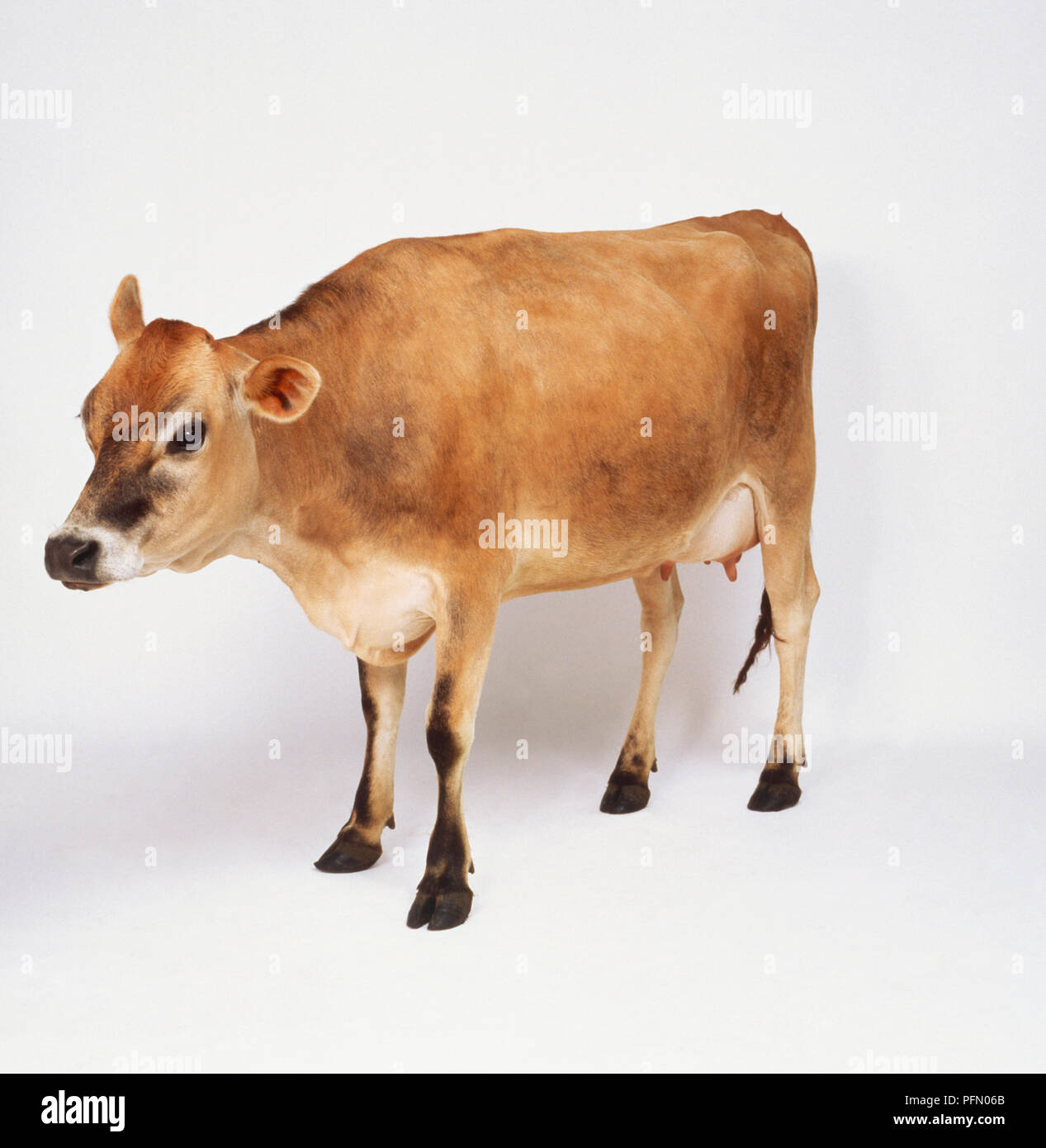 Fourteen cut hi-res stock photography and images - Alamy